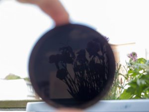 What is an ND filter? Quick Guide to Neutral Density Filters - FilmDaft