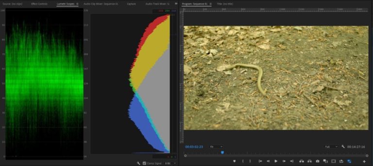 What are Crushed Shadows & Blown Highlights? - FilmDaft