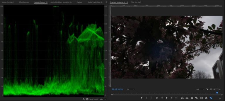 What are Crushed Shadows & Blown Highlights? - FilmDaft