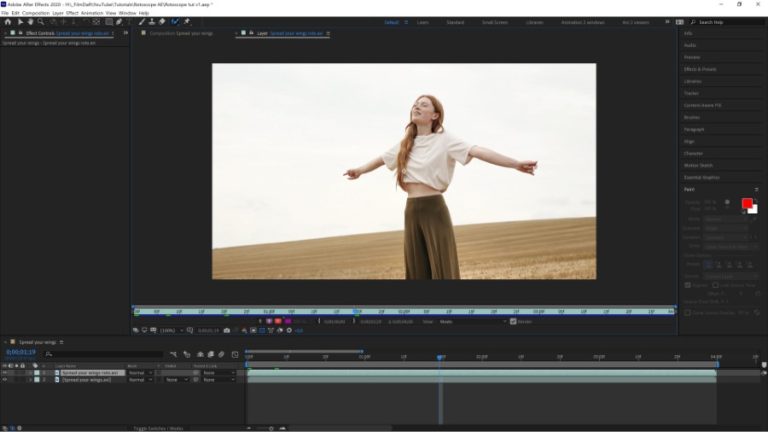 How To Use Roto Brush In After Effects. Illustrated Tutorial. Part 1 ...