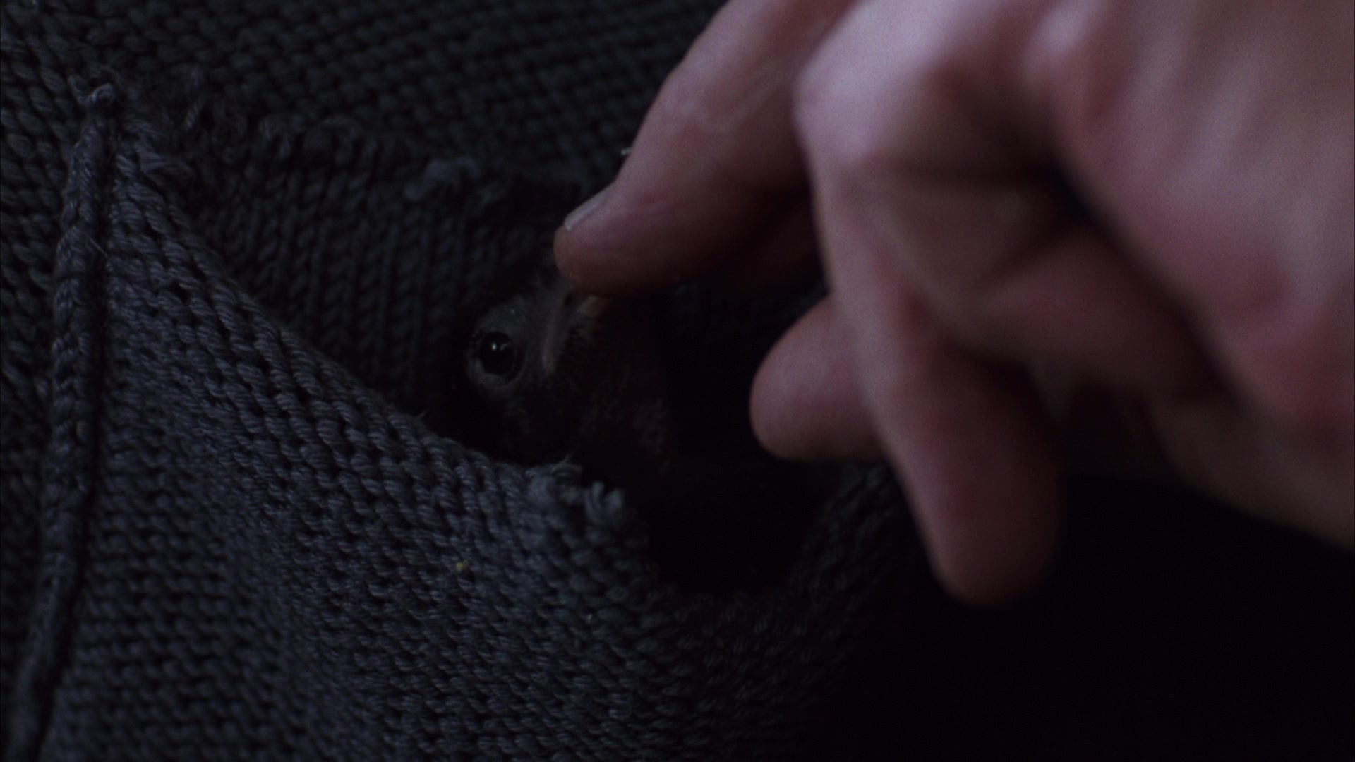 Symbolism in Film: Meaning, Types, and How It Works - FilmDaft