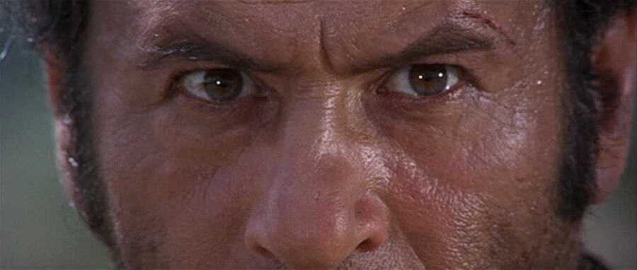 What is an Extreme Close-Up Shot? Definition & Film Examples - FilmDaft