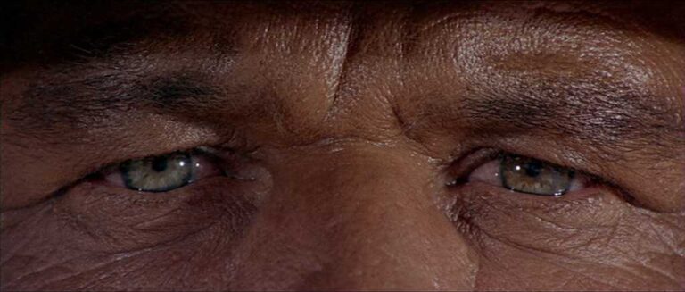 What is an Extreme Close-Up Shot? Definition & Film Examples - FilmDaft