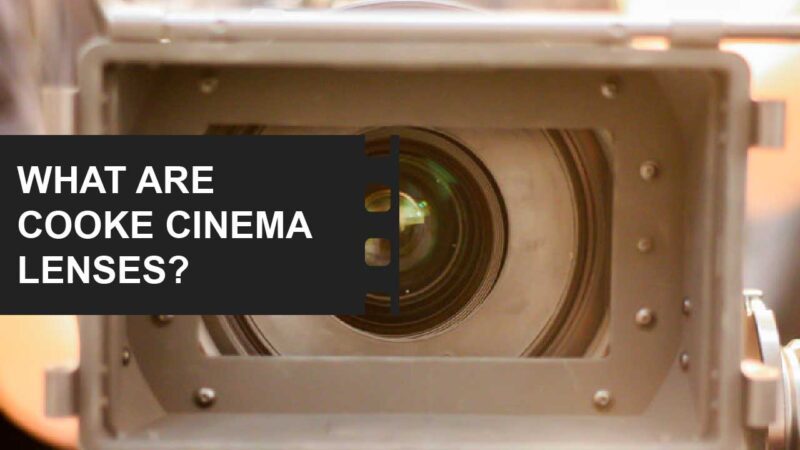 What are Cooke Lenses? Warm Glass & Natural Colors - FilmDaft