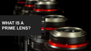 What is a Prime Lens? Definition & Examples - FilmDaft