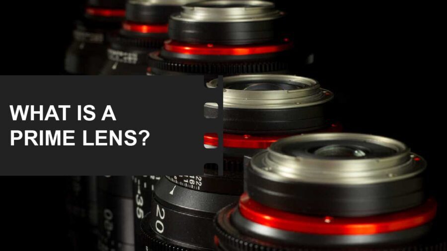 What is a Prime Lens? Definition & Examples - FilmDaft