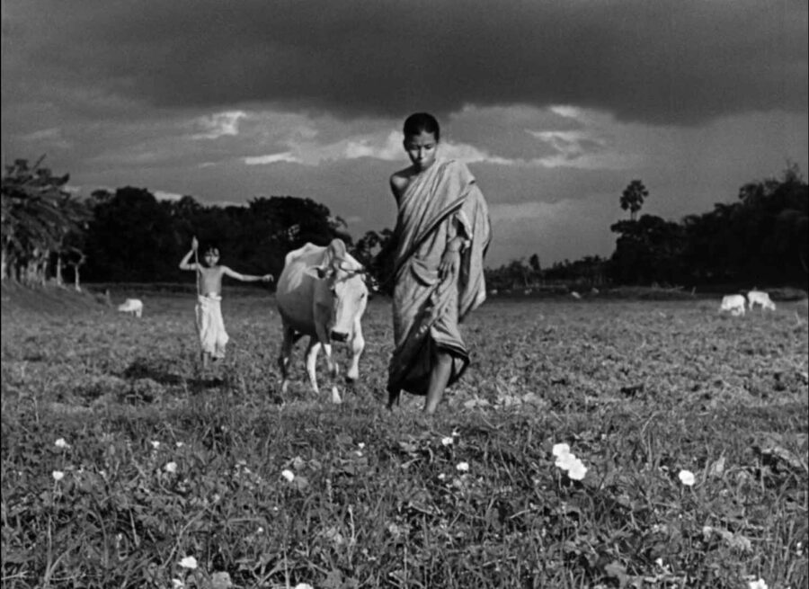 What Is Realism in Film? Definition, Examples & Key Styles - FilmDaft