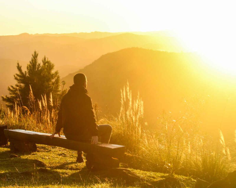 What is Natural Light Photography? Definition & How to Use It - FilmDaft