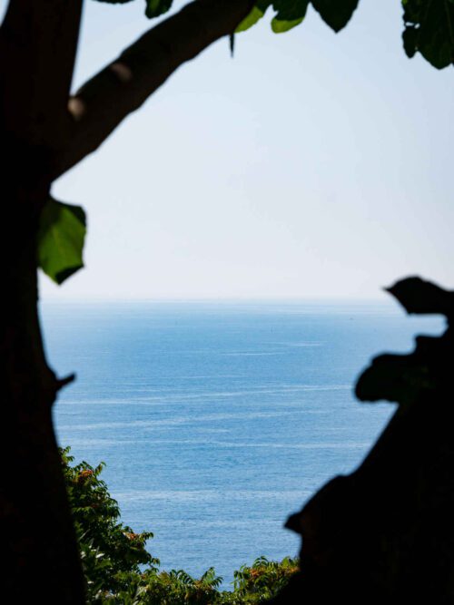 How to Use Foreground Elements in Photography: Composition & Examples ...