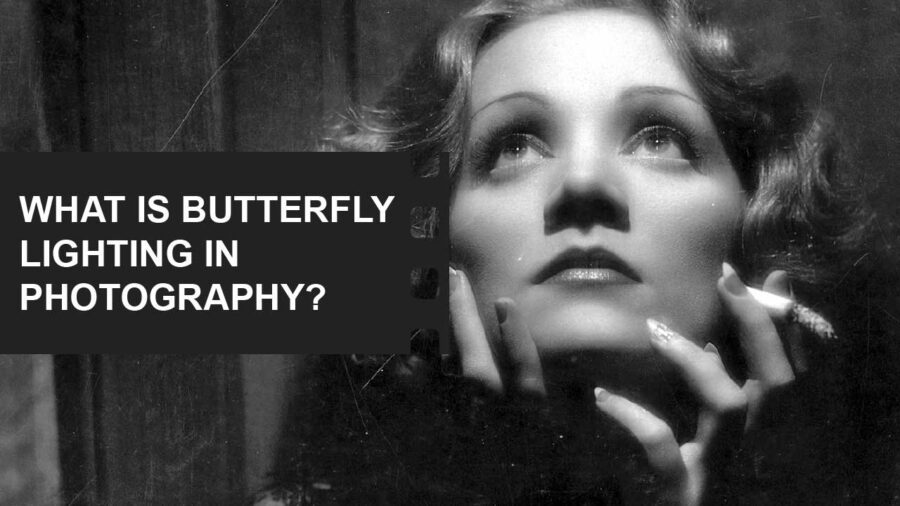 Butterfly Lighting Photography 101: Definition & Setup - FilmDaft