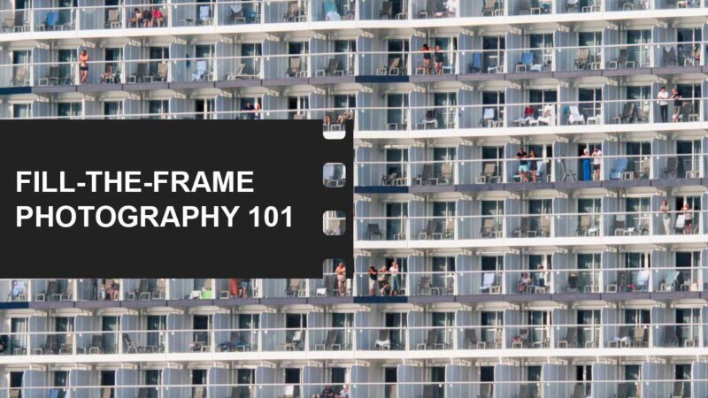 What Is Fill the Frame Photography Definition How You Use It FilmDaft What Is Fill the Frame Photography Definition How You Use It FilmDaft