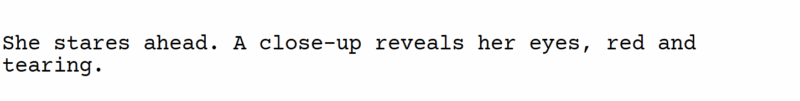 How to Use Shot Types in a Script with Examples - FilmDaft