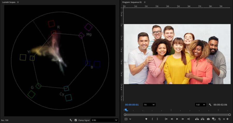 What Is a Vectorscope? Definition & How To Read It - FilmDaft